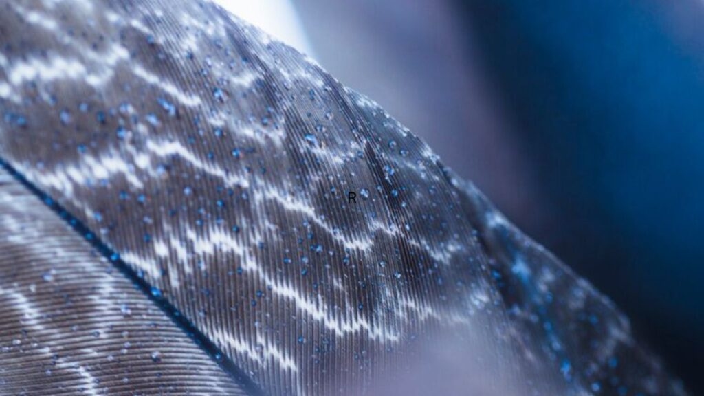 121 fiberglass cloth textron: The Versatile Marvel - Skycryptpro